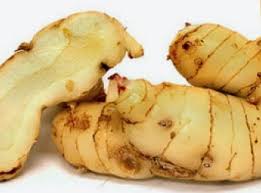 Rhizoma (Rimpang) - Farmakognosi