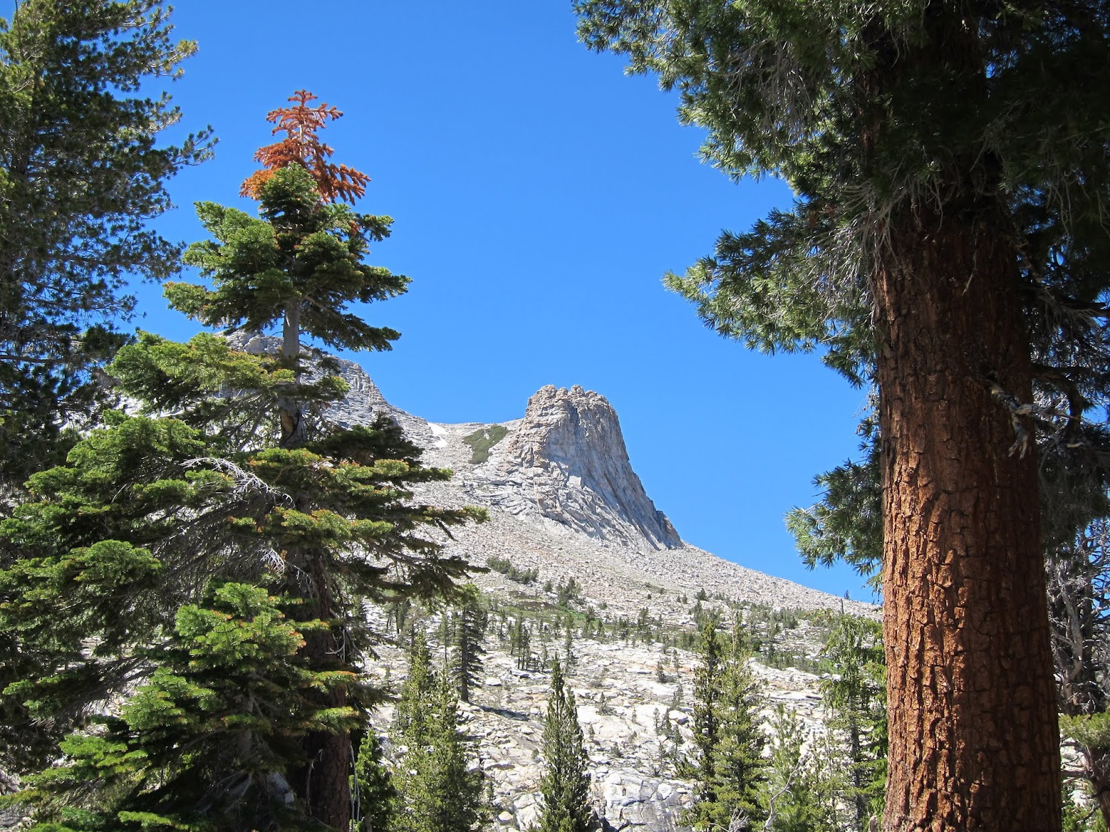 Trial Run: Yosemite: May Lake Trail