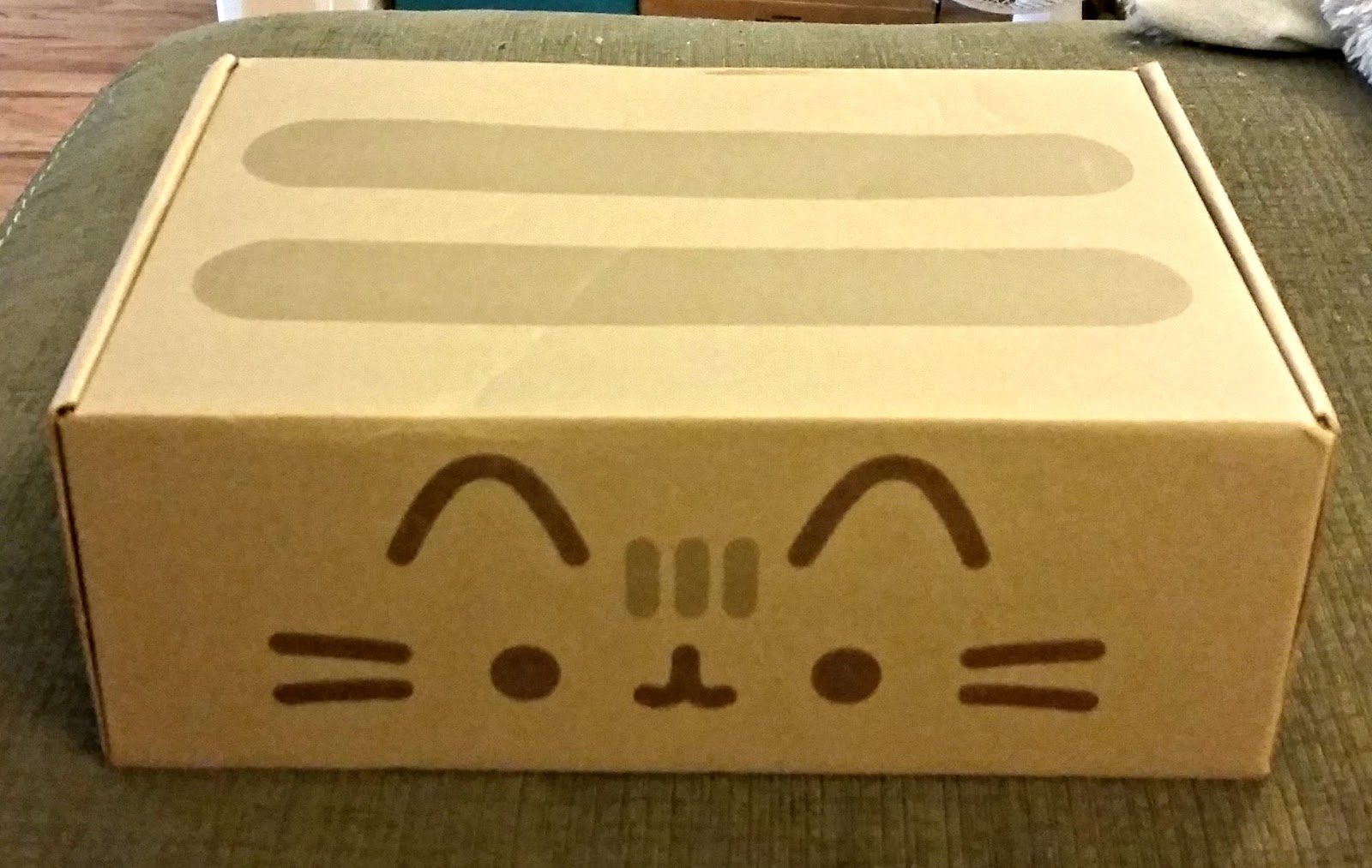 Neither Here Nor There: The First Ever Pusheen Box Unboxing!