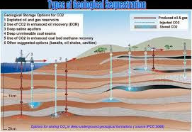 PETROLEUM GEOLOGY - Science