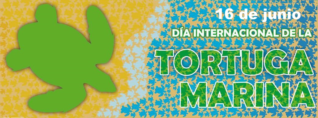 Green Galley: 16 de junio - Día Mundial de las Tortugas Marinas