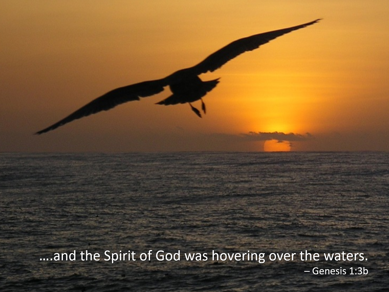 HOW IN THE WORLD!!: The Holy Spirit in Creation and new creation ...