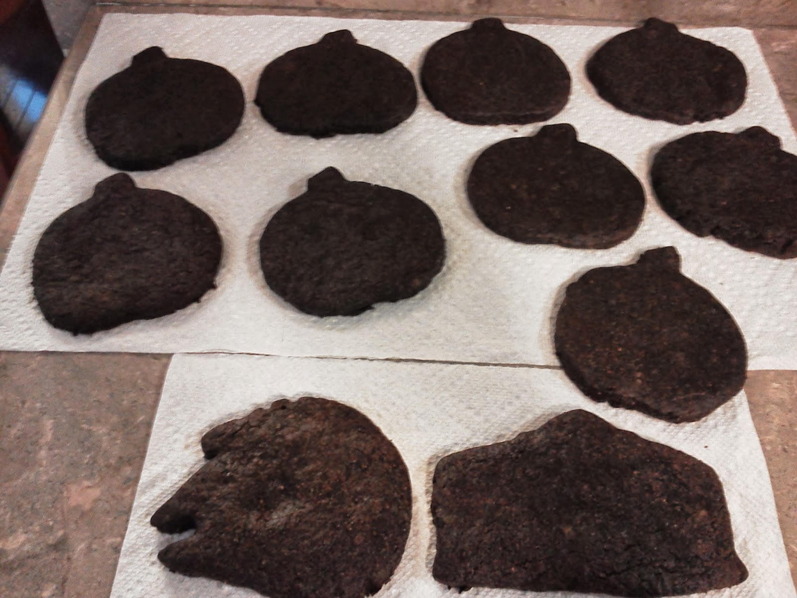 Pocono Pabulum for Mind & Body: Vegan Chocolate Coconut Sugar Cookies