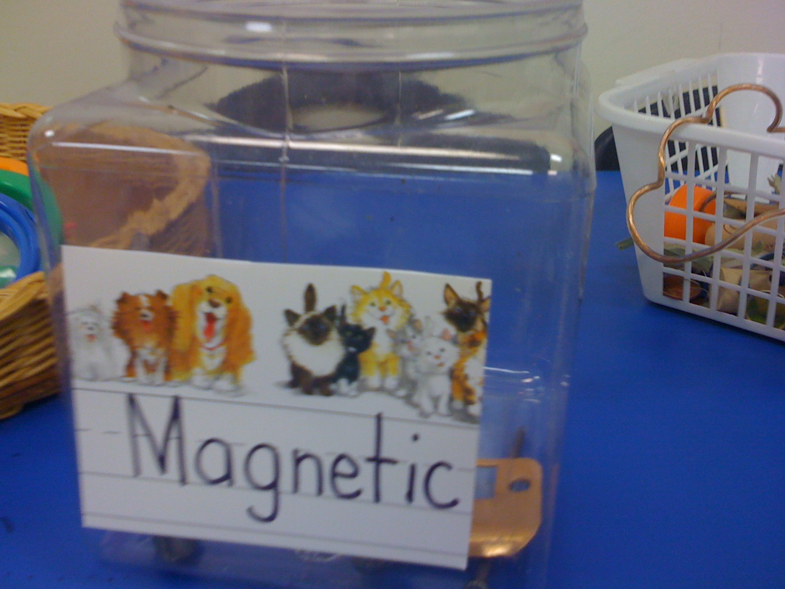 Science Exploration Tubs | Nature Play On Vancouver Island