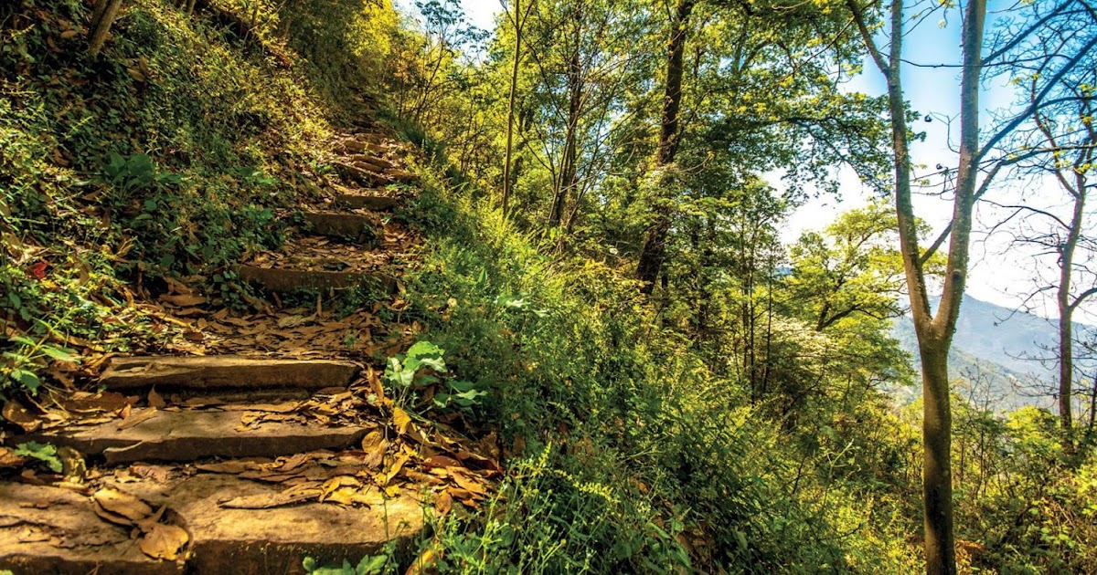Pedaleando en el Parque Ecológico Chipinque. Monterrey , Nuevo León