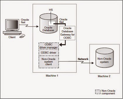 Learn Oracle From Oracle Expert: ODBC Connection with Oracle