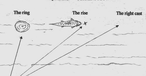 Fly Fishing with Doug Stewart: How to Hook Rising Fish