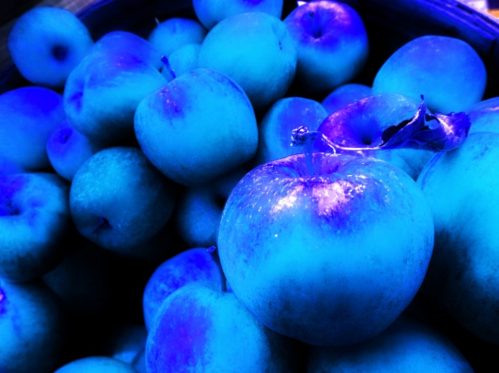 Mary's Digital Media: November 2012