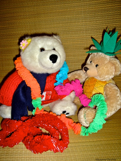 SATW Canada Travelling Teddy Bear Blog: Bears Get Around: Easter Island