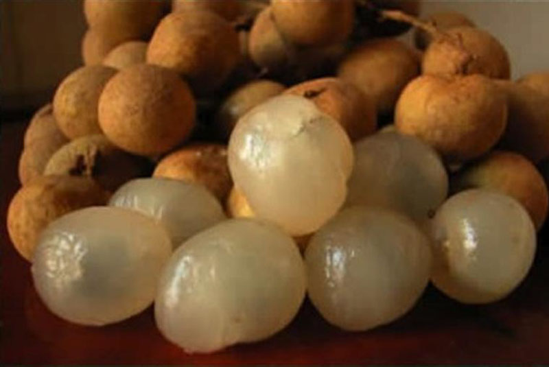 Joy in Thailand: Il Longan (Lamyai)