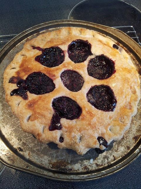 Stitches N Bitches: Haskap Pie