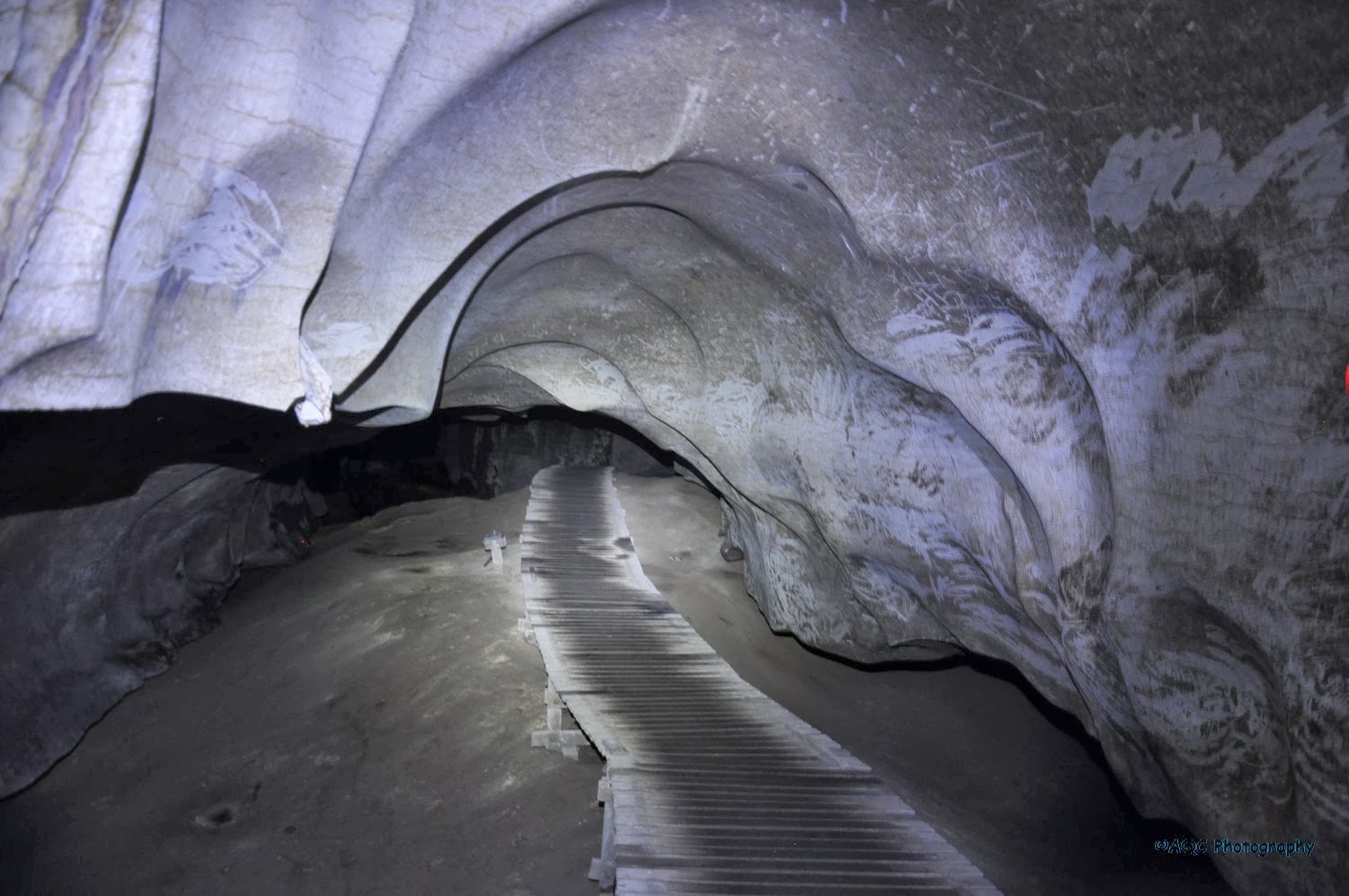 Niah National Park - Niah Cave Experience, Miri Malaysia [Part 2 ...