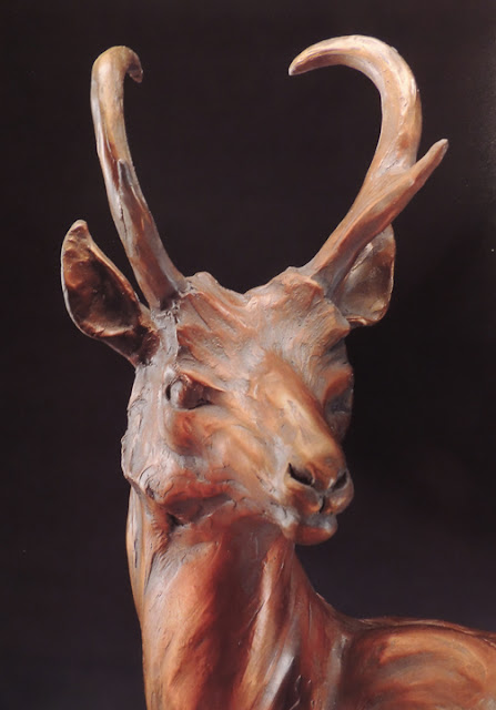 Sandy Scott Art: #684 In the field: Pronghorn Antelope and Sage Grouse