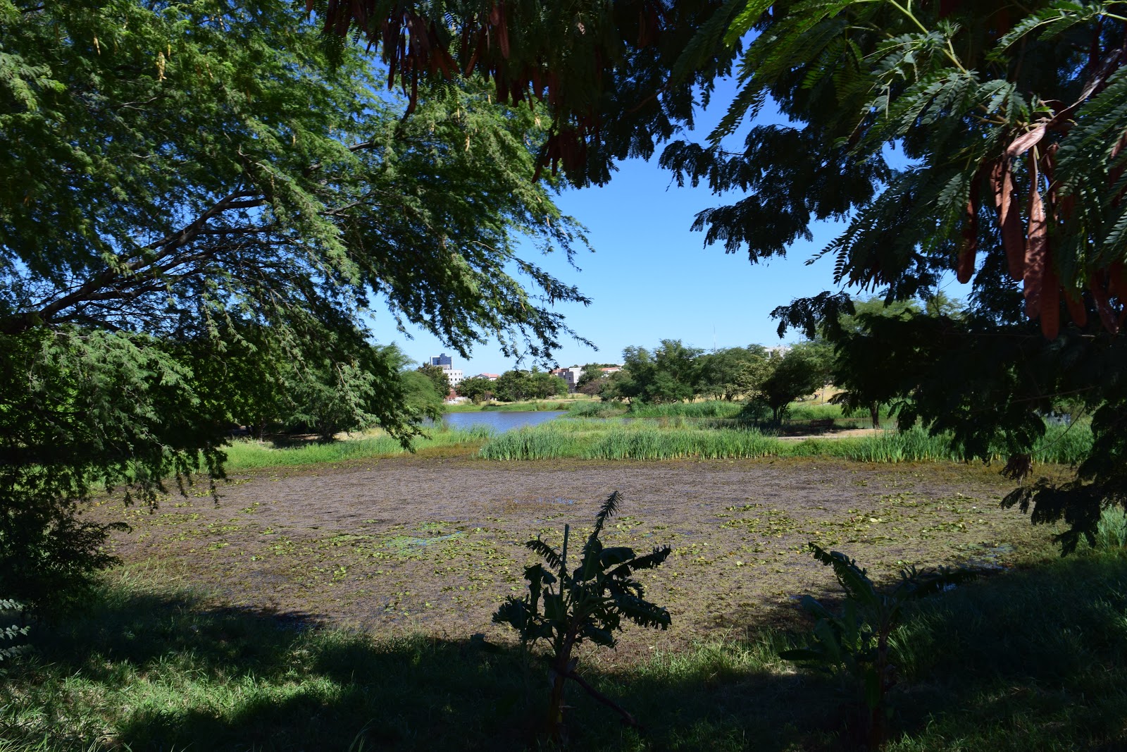 A importância do Parque da Cidade em Guanambi, veja o vídeo