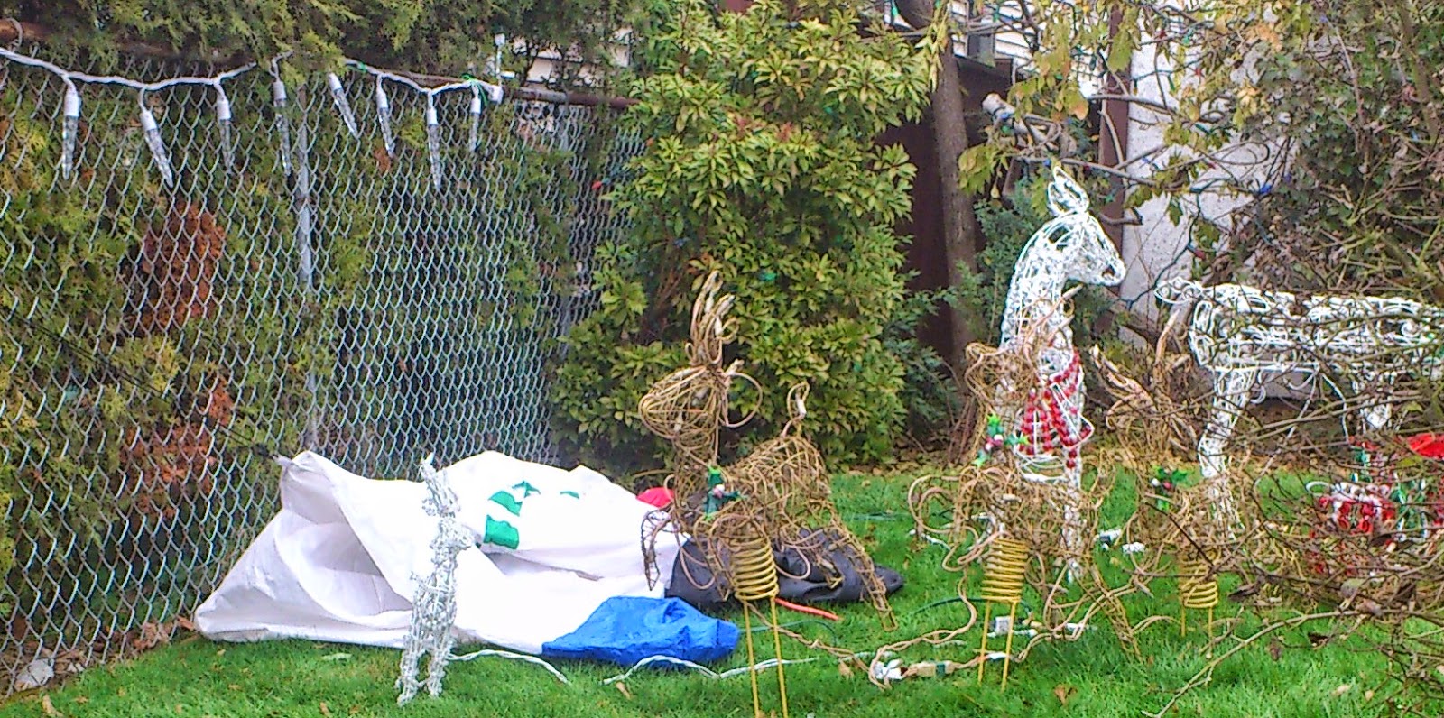 Russians and Americans