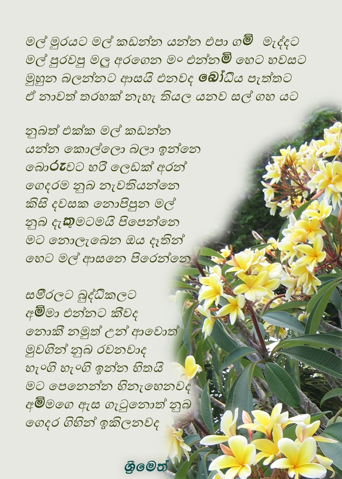 "සිතිවිලි කොලපත"