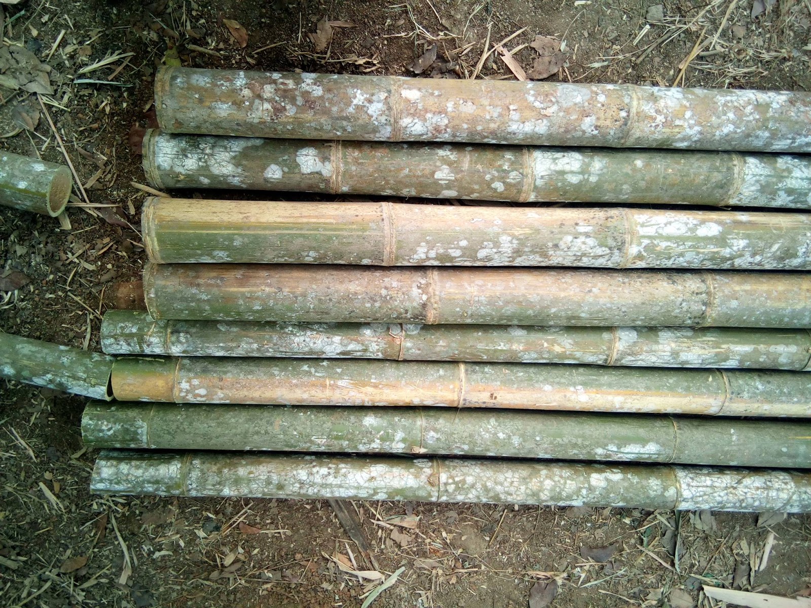 Hari Pertama : Workshop Bambu Rumah Knockdown Type 21