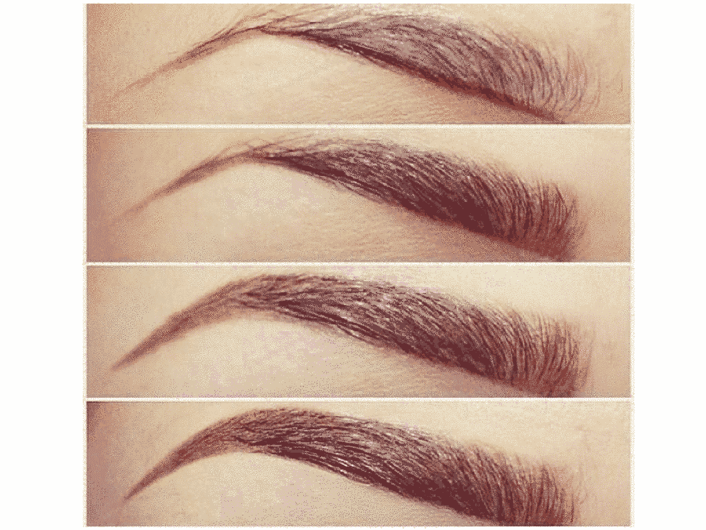 Buena Bonita y Brillante: Diseño de cejas