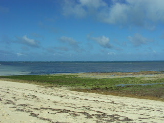 bettinka: Sabaki River, Malindi, Kenya