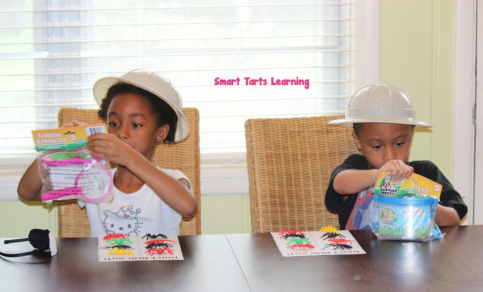 SmartTartsLearning: Dollar Tree Find #6 {of 7} - Don't BUG Out in Your ...