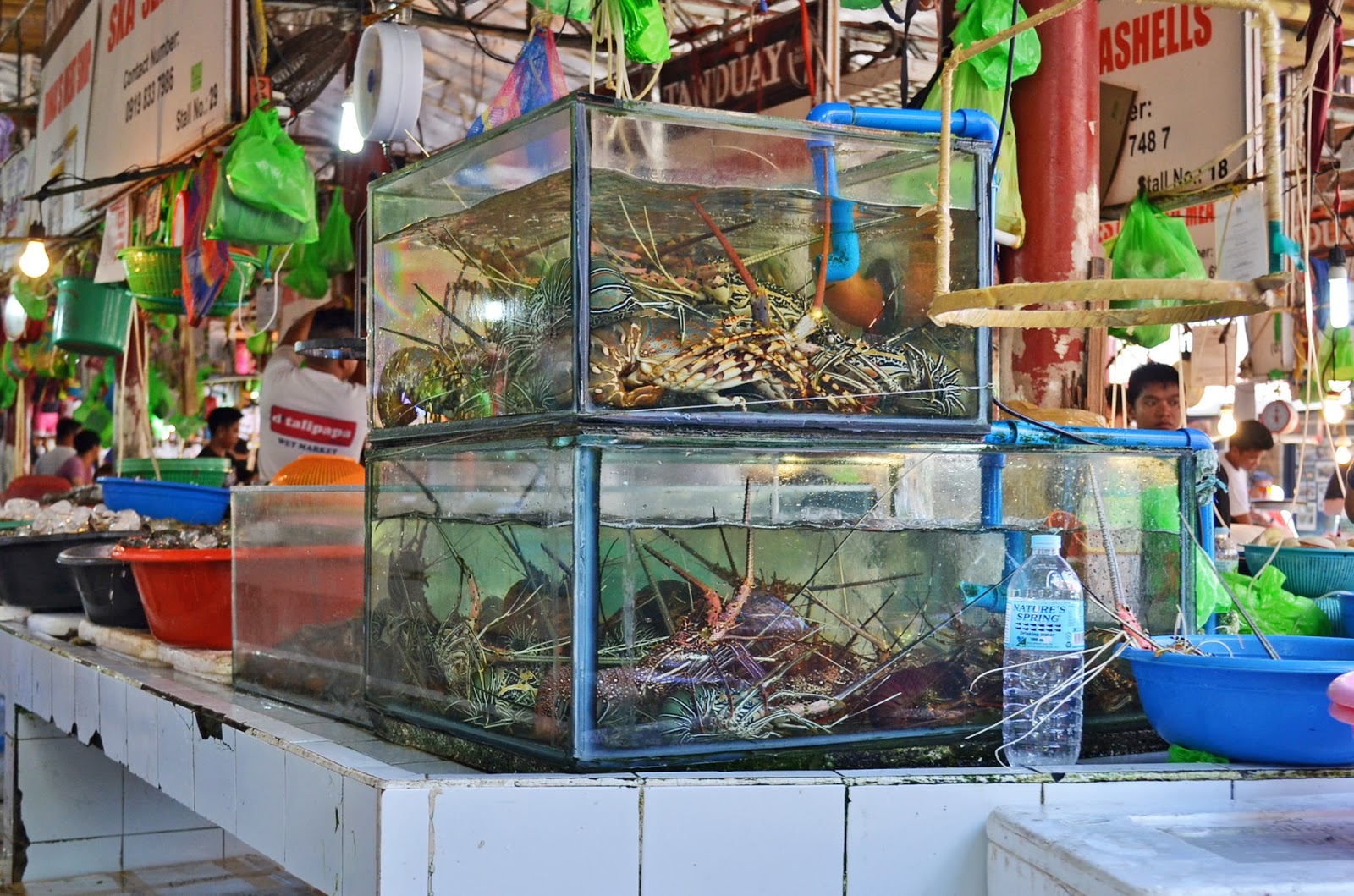 Trip To Boracay, Philippines: D'Talipapa Market - Just An Ordinary Girl