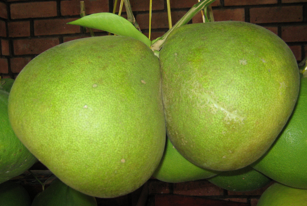 the wonderful of PERAK: Special food of Perak...