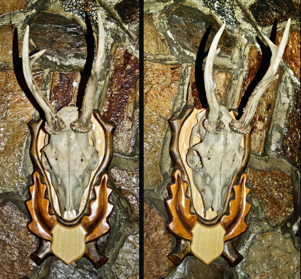 panoplii de vanatoare: panoplii caprior