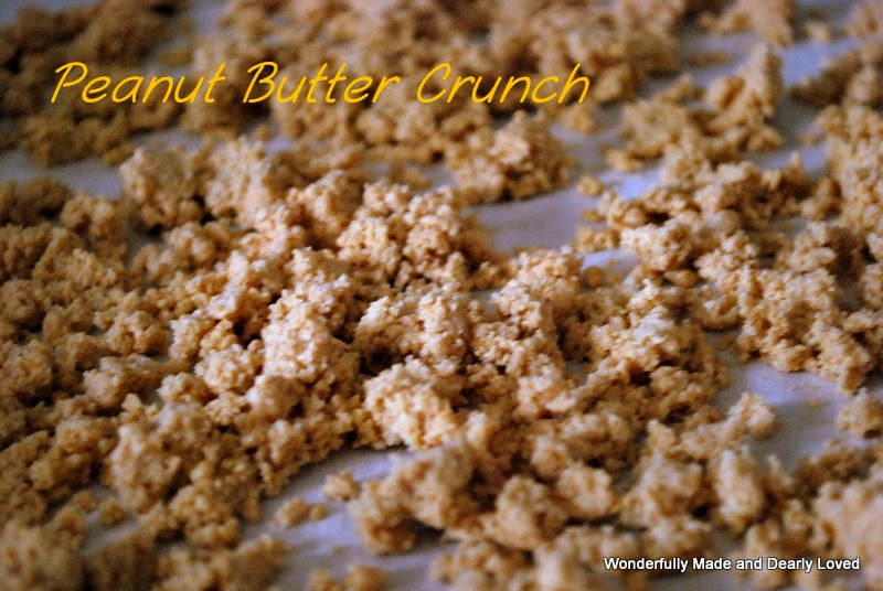 Wonderfully Made and Dearly Loved : Sugar Free Peanut Butter Crunch