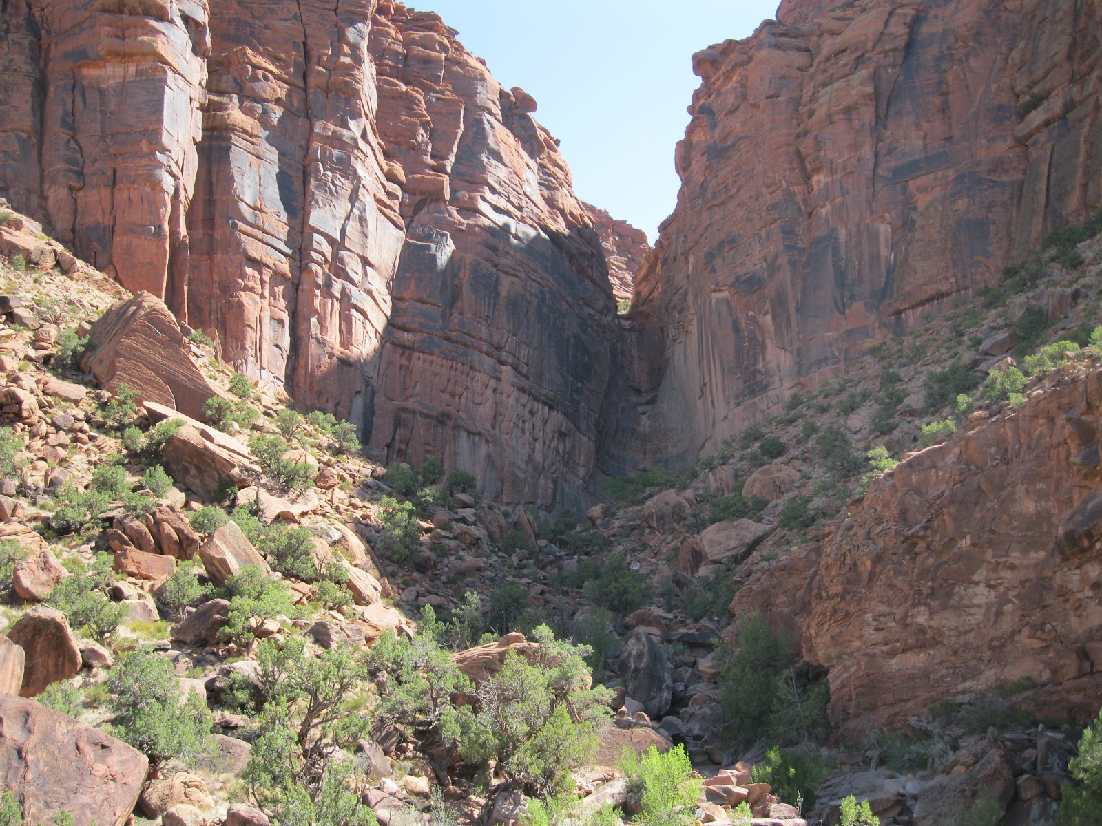 Four Corners Hikes-Dolores River Valley Colorado: Hamm Canyon in Big ...