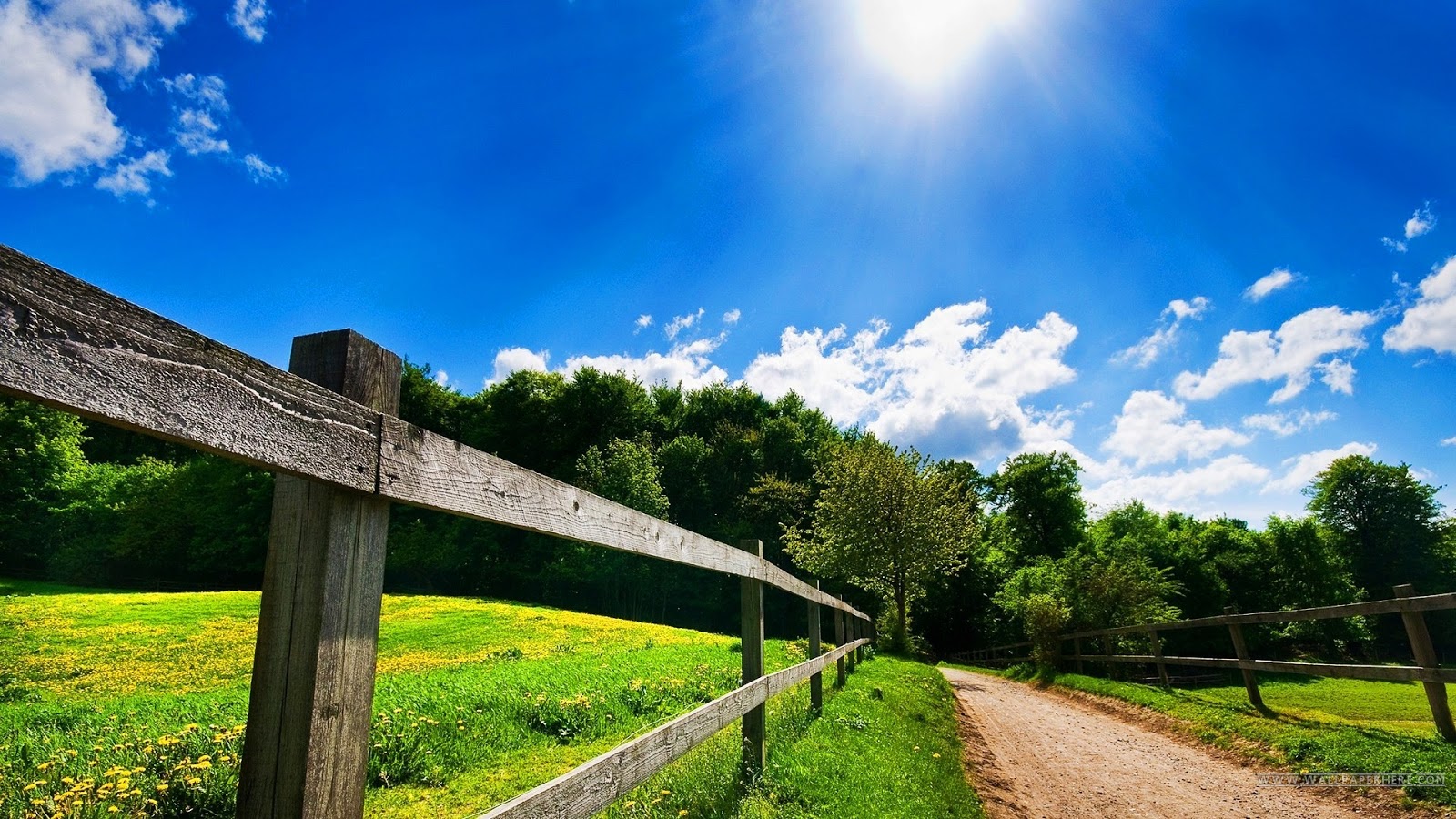 Best Wallpaper View HD For Desktop Background