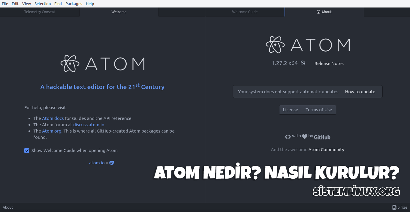 Atom Nedir? Nasıl Kurulur?