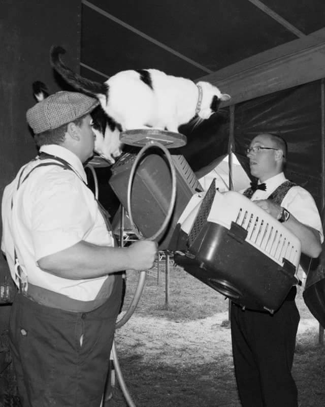 Circus Mania: Bobbo Roberts: 30 Years a Clown (Part 1)