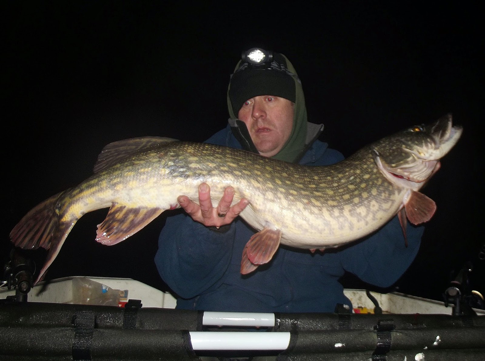 Fishing & stuff ...: Hickling Broad