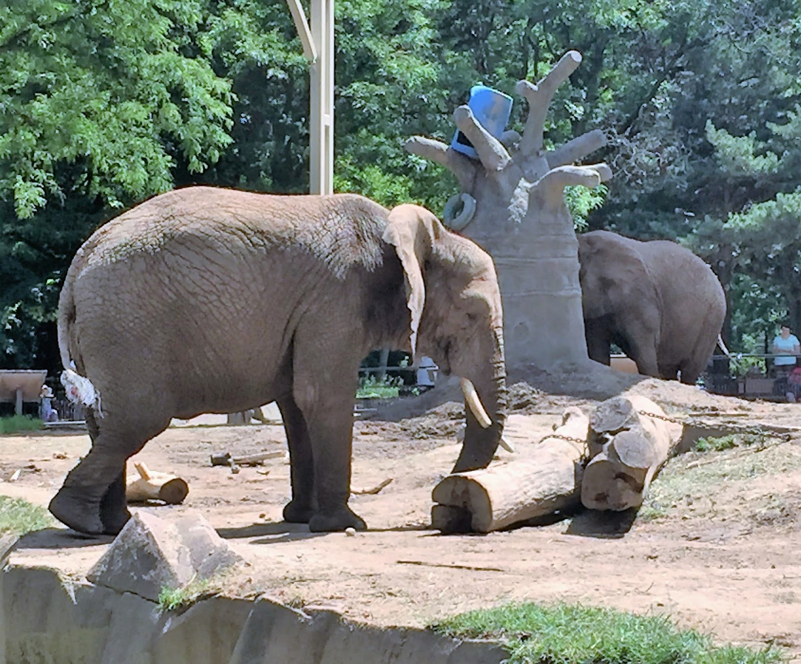 Souvenir Chronicles: MILWAUKEE, WISCONSIN: MILWAUKEE COUNTY ZOO