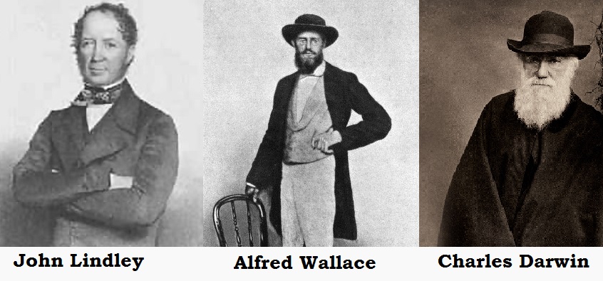 Patrick Matthew: Originator, Immortal Great Thinker and Proven ...