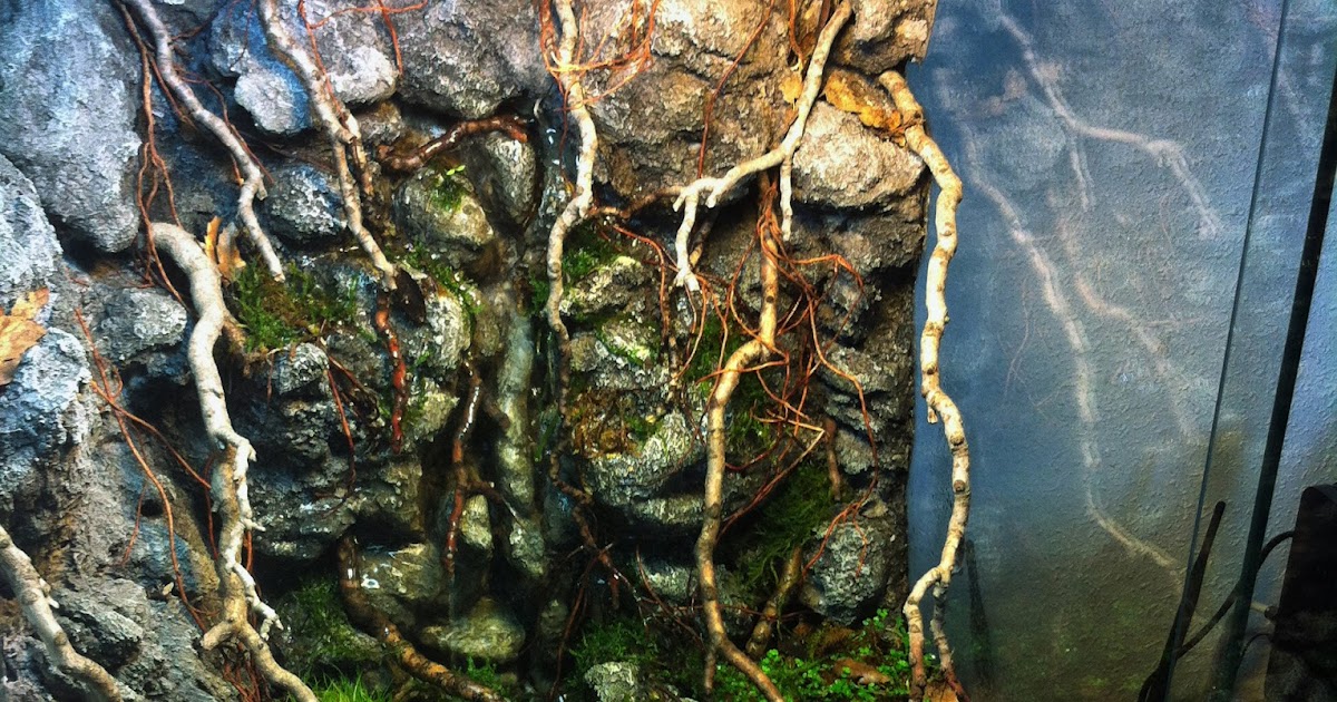 Terrarium Designer: Terrario fuente natural 45x45x60 cm