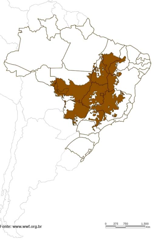 ABC do Bioma: Mapa do Bioma Cerrado
