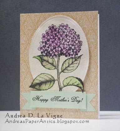 Andrea's Paper Antics: Hydrangea for Mother's Day