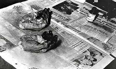 Pircas y Trincheras: EL MISTERIO DE LAS MANOS DEL CHE