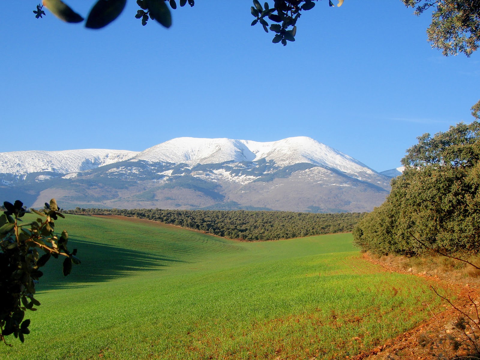 NORDIC WALKING CARALEBRO: Ruta circular por San Martín de Moncayo