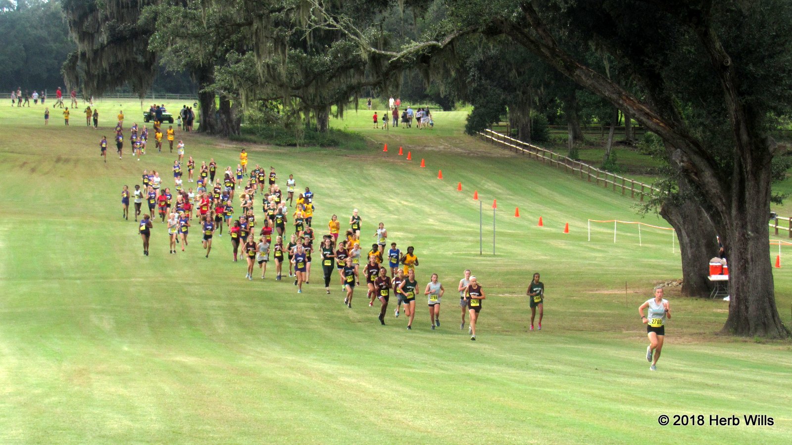 Trouble Afoot!: Leon County Schools' 2019 middle school cross country ...