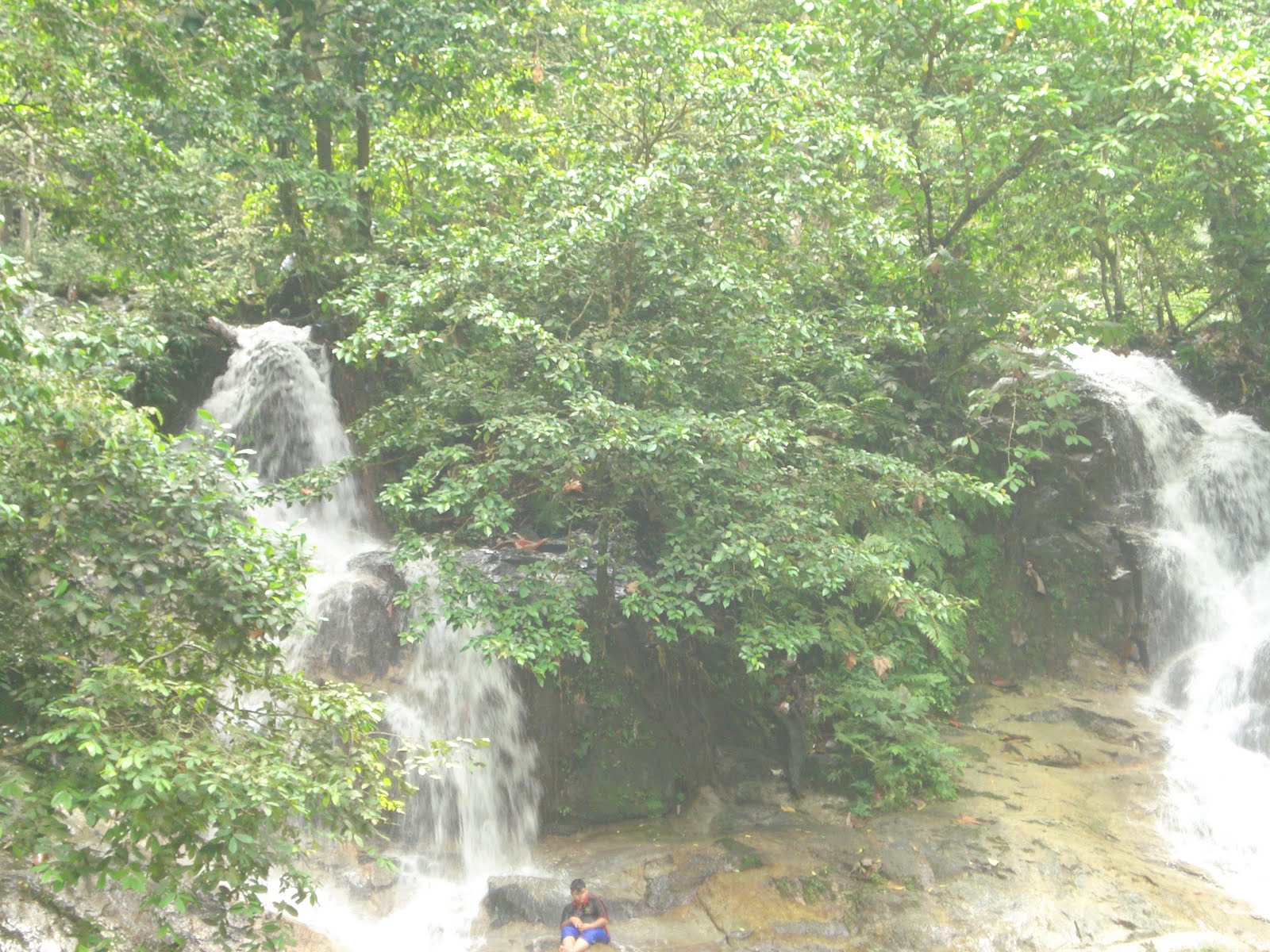 Travel Logs: Templer Park - Falls of Nature