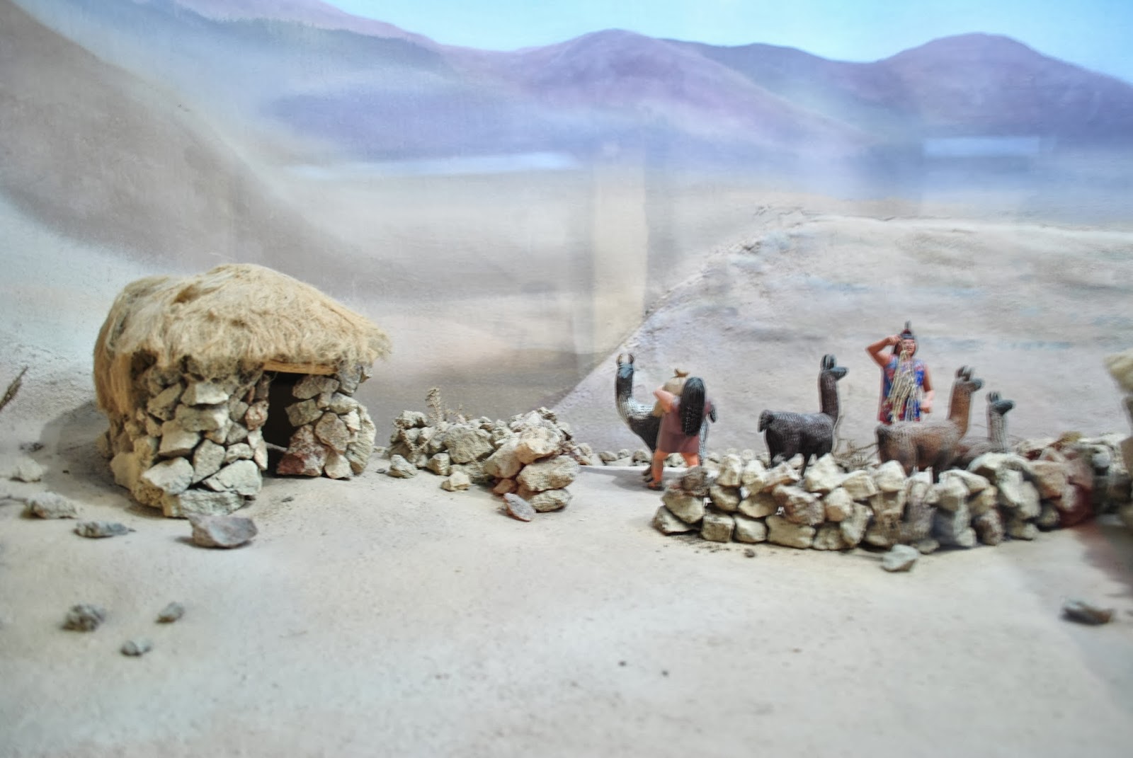 Viajero Nomade: Visita al Museo de la cultura y Momias "Chinchorro ...