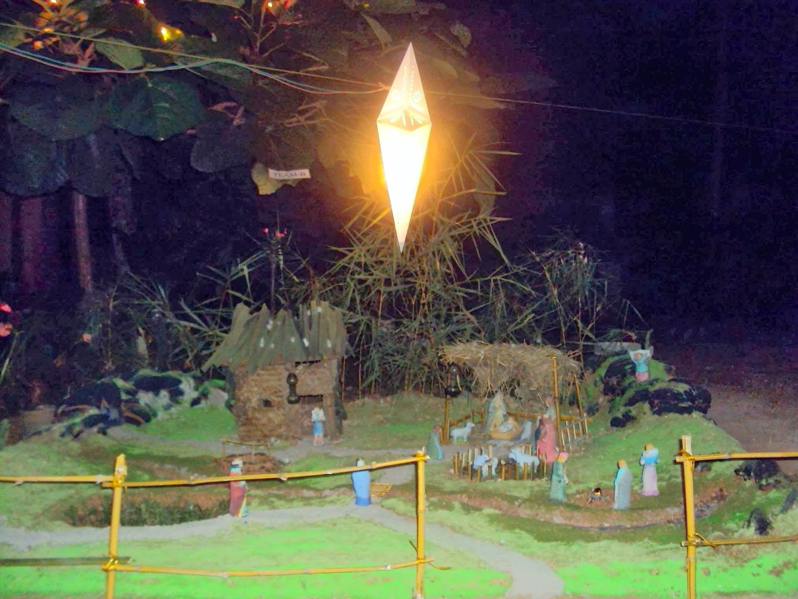 CSI Peringammala ( Peringammala District ): Pulkoodu (Cribe ...