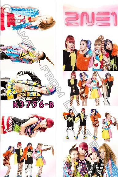 Shopping Kpop Stuffs Here!: 2NE1 Merchandise