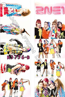 Shopping Kpop Stuffs Here!: 2NE1 Merchandise