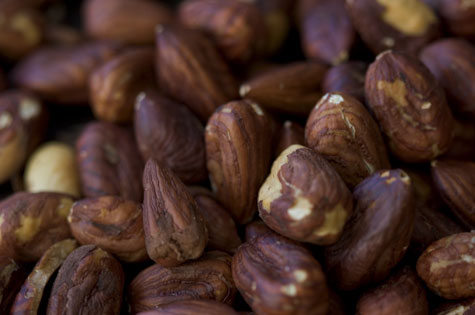 FINDIK RESİMLERİ ~ Resimler Diyarına Hoşgeldiniz