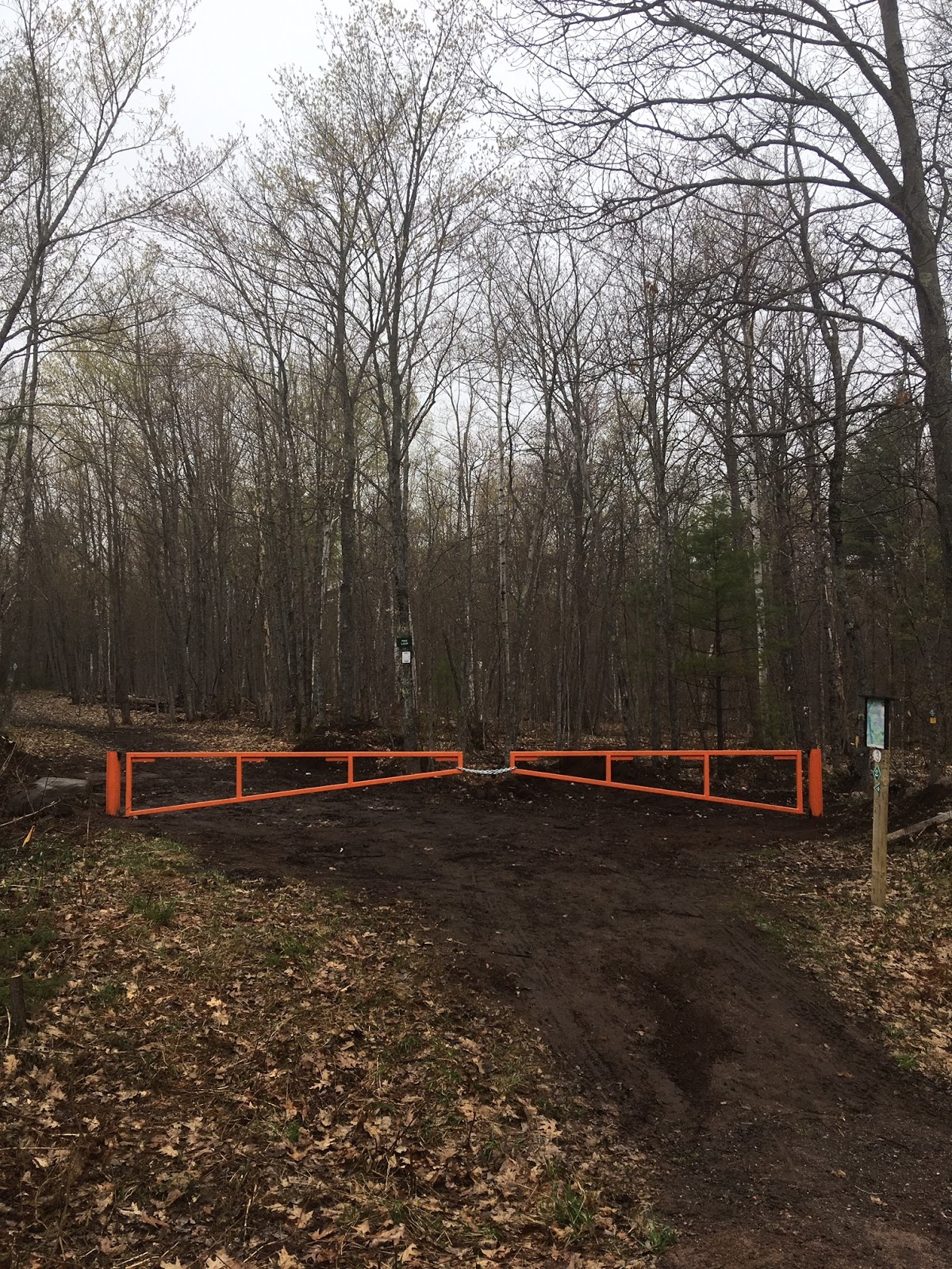 Maasto Hiihto / Churning Rapids Trail Blog: Pine Loop and DNR Trail ...