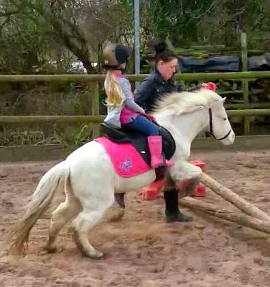 SMART Saddles Customer Stories: The SMART Native Pony Saddle - An ...