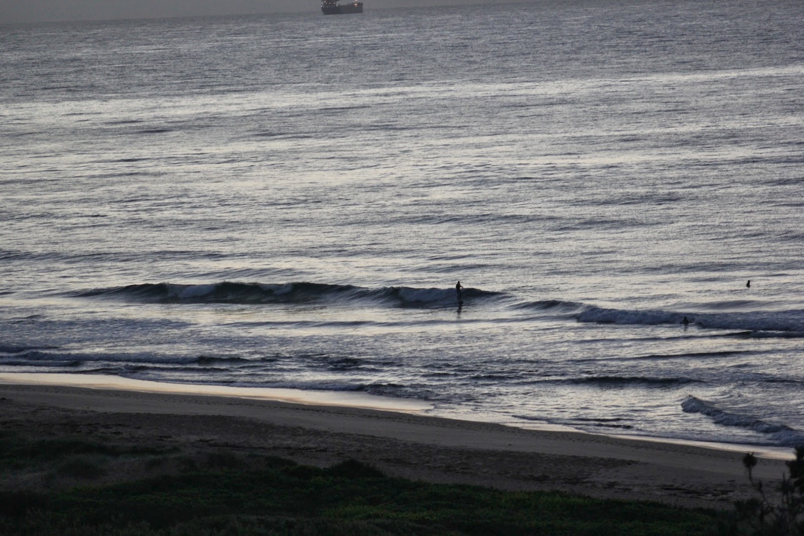 Shelly Beach Surf Report